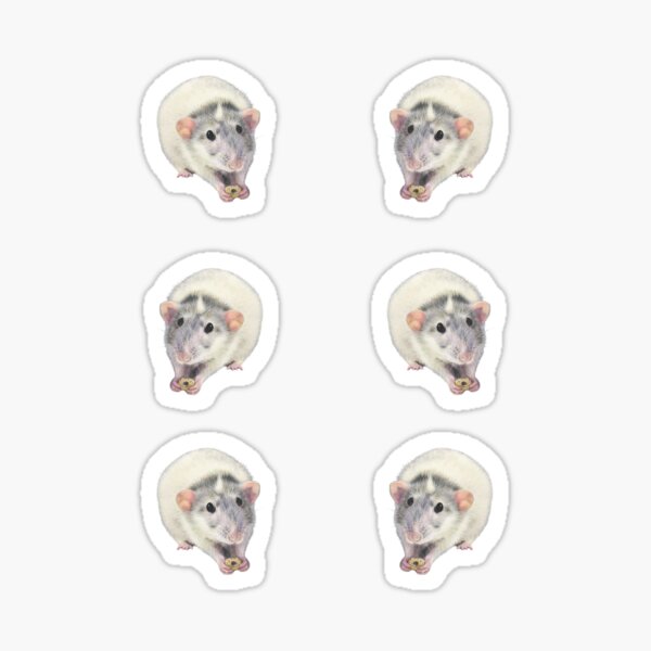 "Cute little rat | rat lovers Stickers pack" Sticker for Sale by ...