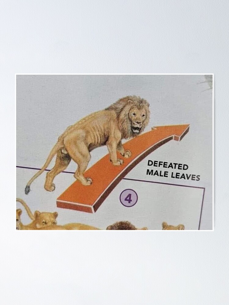 "DEFEATED MALE LEAVES" Poster by Captain-Lynchie | Redbubble