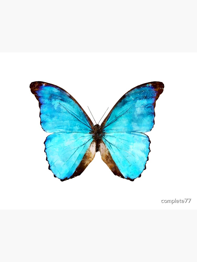 "Turquoise Blue Butterfly Watercolor" Poster for Sale by complete77 ...