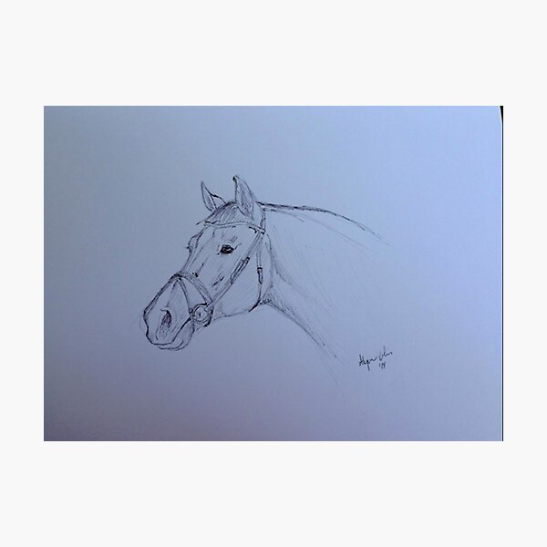 Valegro Gifts & Merchandise for Sale | Redbubble