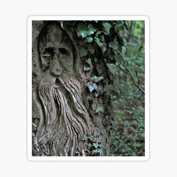 "Green man" Sticker for Sale by Cwinnphoto | Redbubble