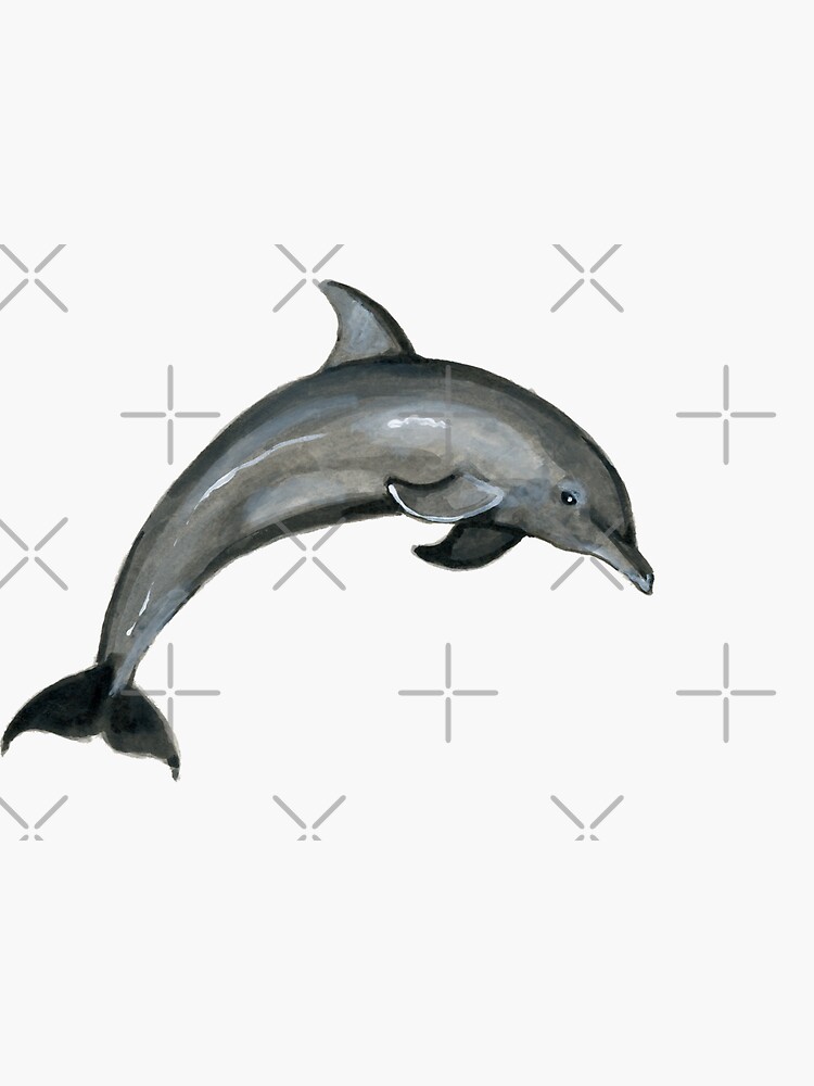 "Dolphin Ink Painting" Sticker for Sale by VivianRosalee | Redbubble