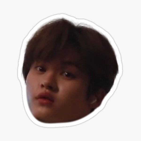 "Lee Know Cute Funny Face" Sticker for Sale by borabubble | Redbubble