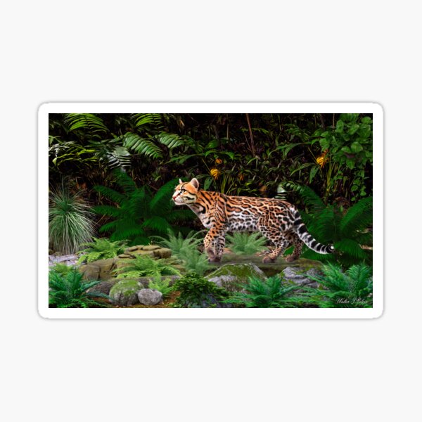 "Ocelot " Sticker for Sale by Skyviper | Redbubble