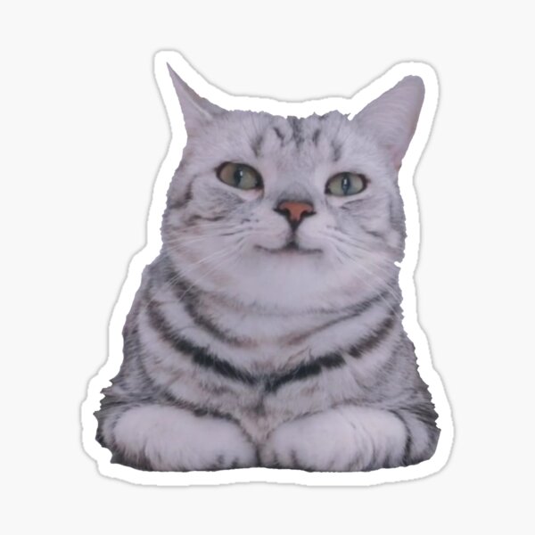 "Smiling Cat" Sticker for Sale by ChicagoDixon | Redbubble