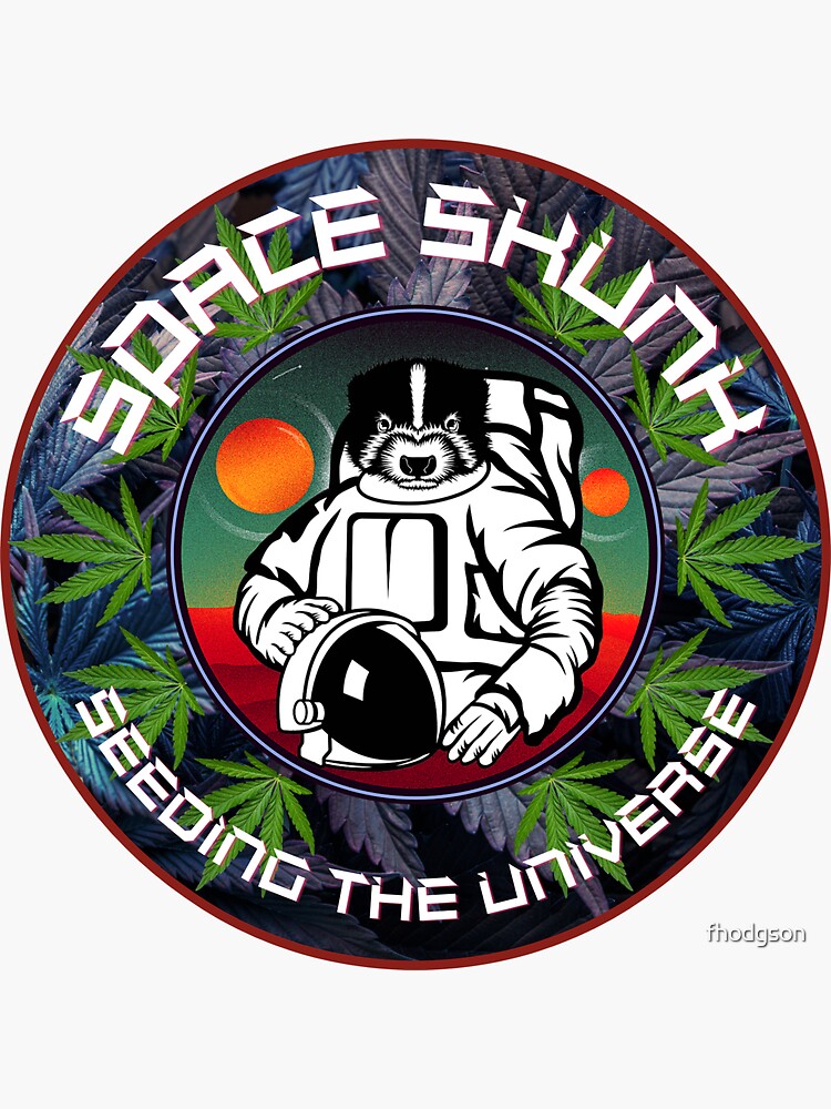 "Space Skunk V4" Sticker for Sale by fhodgson | Redbubble