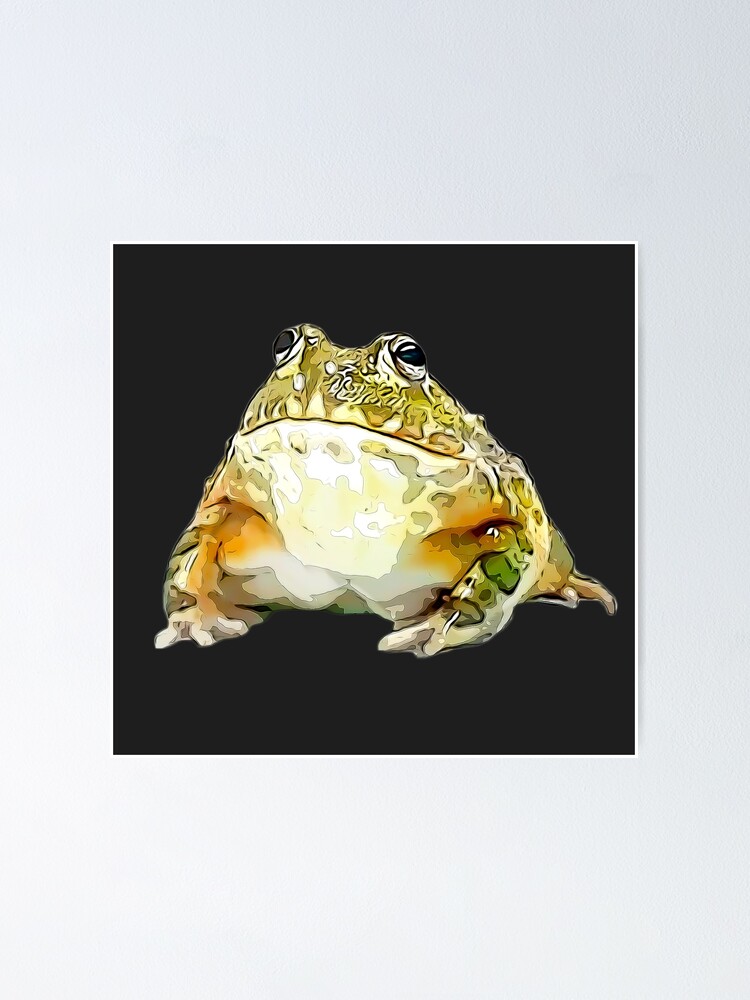 "Bullfrog Croak Frog Funny Cute Angry" Poster for Sale by Elarex ...