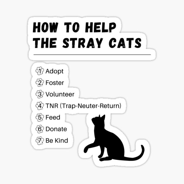 "How to Help the Stray Cats Design" Sticker for Sale by mmij | Redbubble