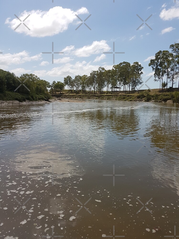 "Australische qld-Flussmündung (AUSSIE BUSH) 3" Fotodruck von jsama ...