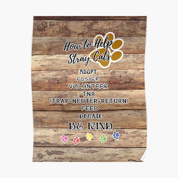 "How to Help the Stray Cats Design" Poster for Sale by mmij | Redbubble