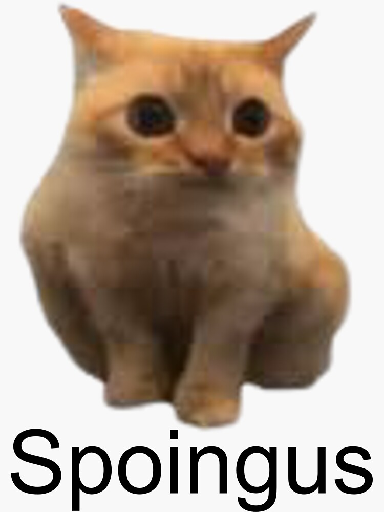 Pegatina «Spoingus El Gato Meme» de marylovesshrek | Redbubble