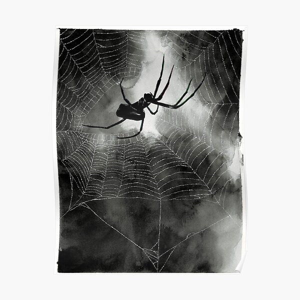 "Spider in spider web" Poster by TwoFullMoonsArt | Redbubble
