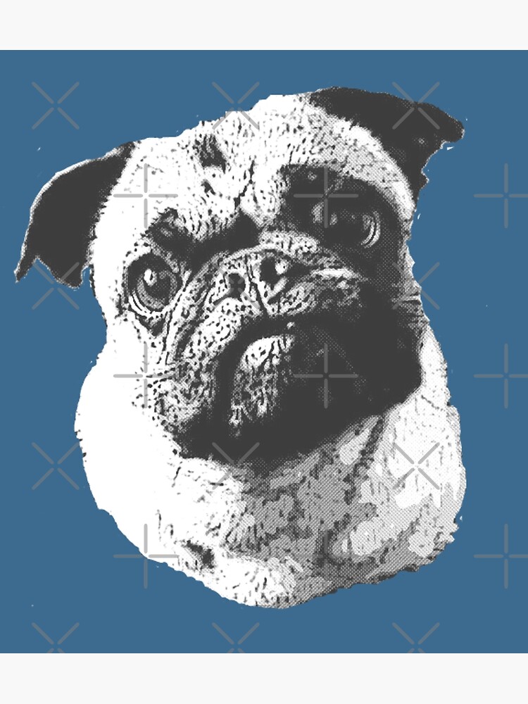 "Confused pug" Poster by Pato-D | Redbubble