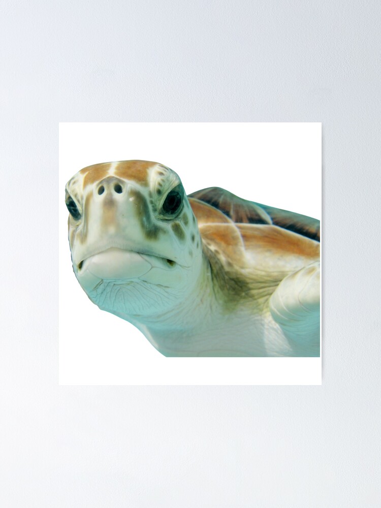 "3rd Snarky Head Only Smiling Sad Depressed Unsatisfied Single Sea ...