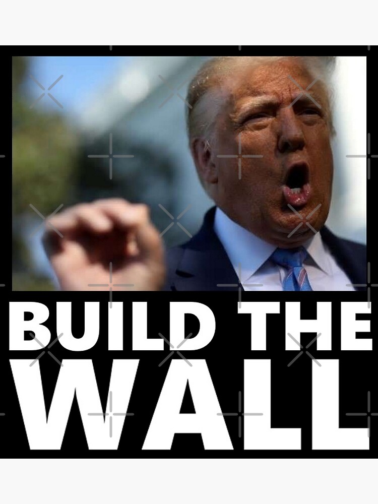 "Build it" Poster for Sale by Daviscoatings | Redbubble