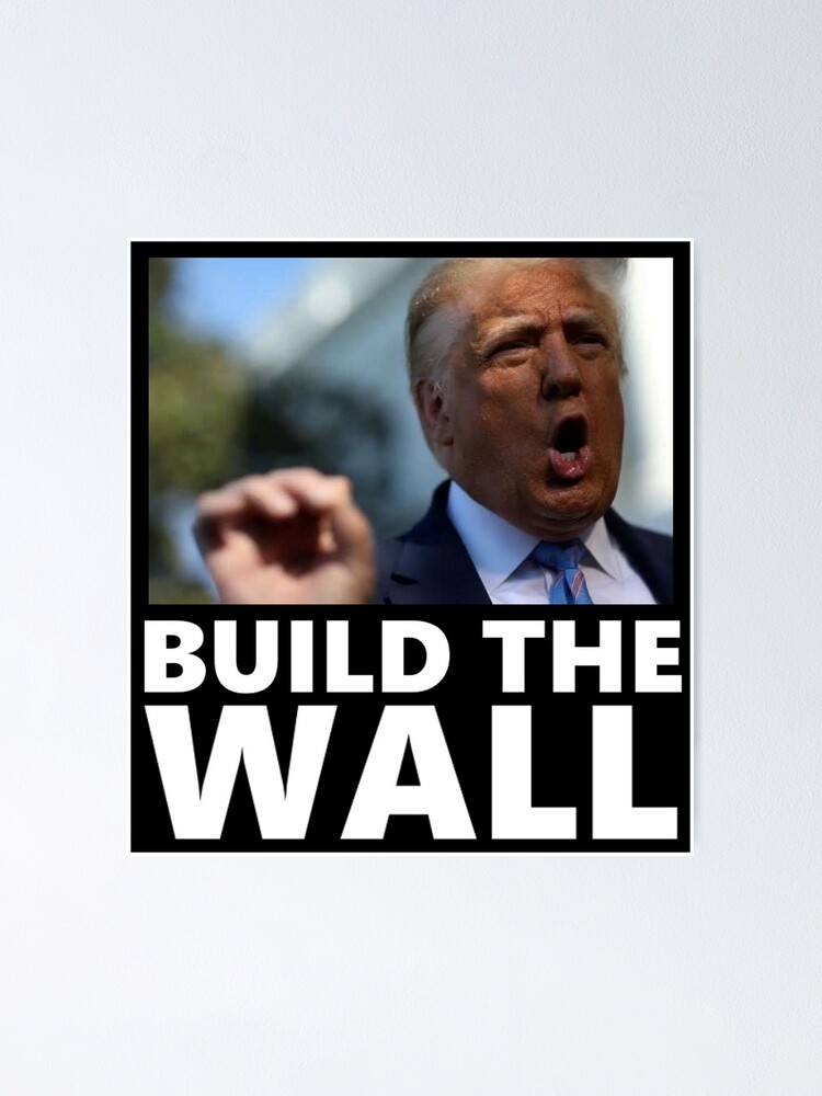 "Build it" Poster for Sale by Daviscoatings | Redbubble