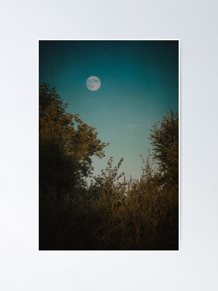 "They Shine For You" Poster for Sale by faded-photos | Redbubble