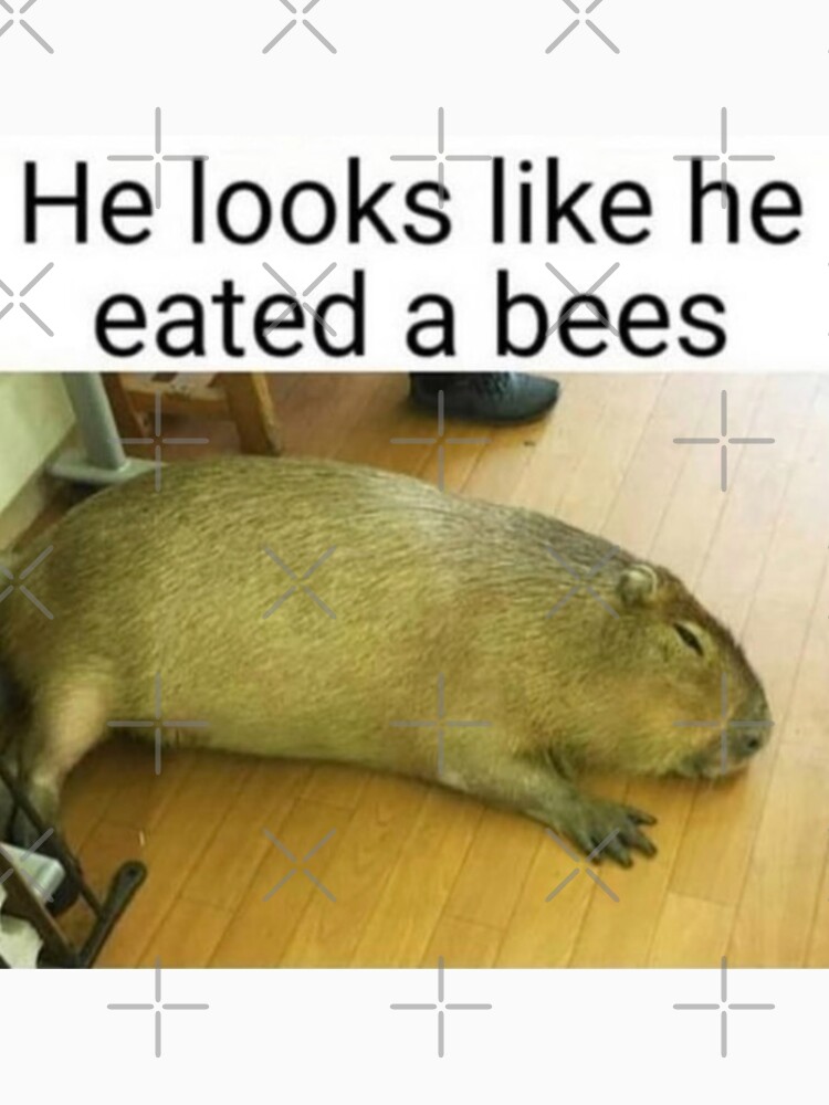 "He looks like he eated a bees" T-shirt for Sale by Banime | Redbubble ...