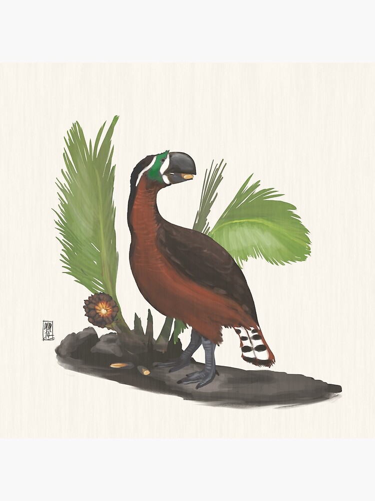 "Diatryma" Art Print for Sale by panaves | Redbubble