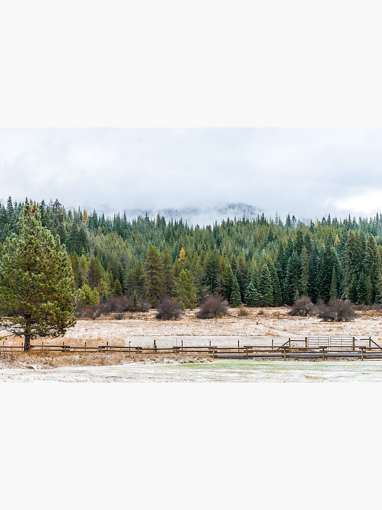"Musselshell Meadows" Poster by FredLBeck | Redbubble