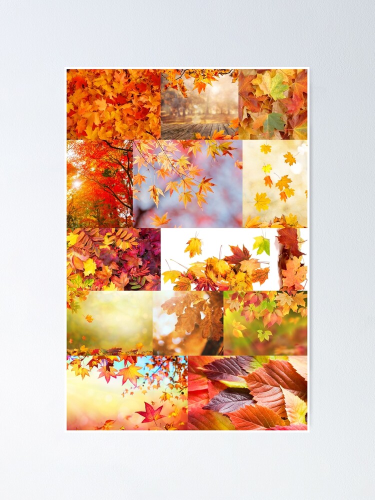 Autumn Fall Leaves Collage Poster For Sale By Jgventures Redbubble