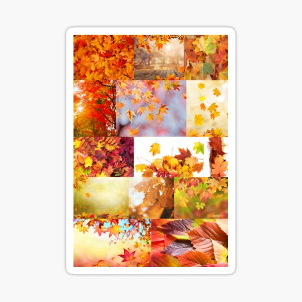 "Autumn Fall Leaves Collage" Sticker for Sale by JGVentures | Redbubble