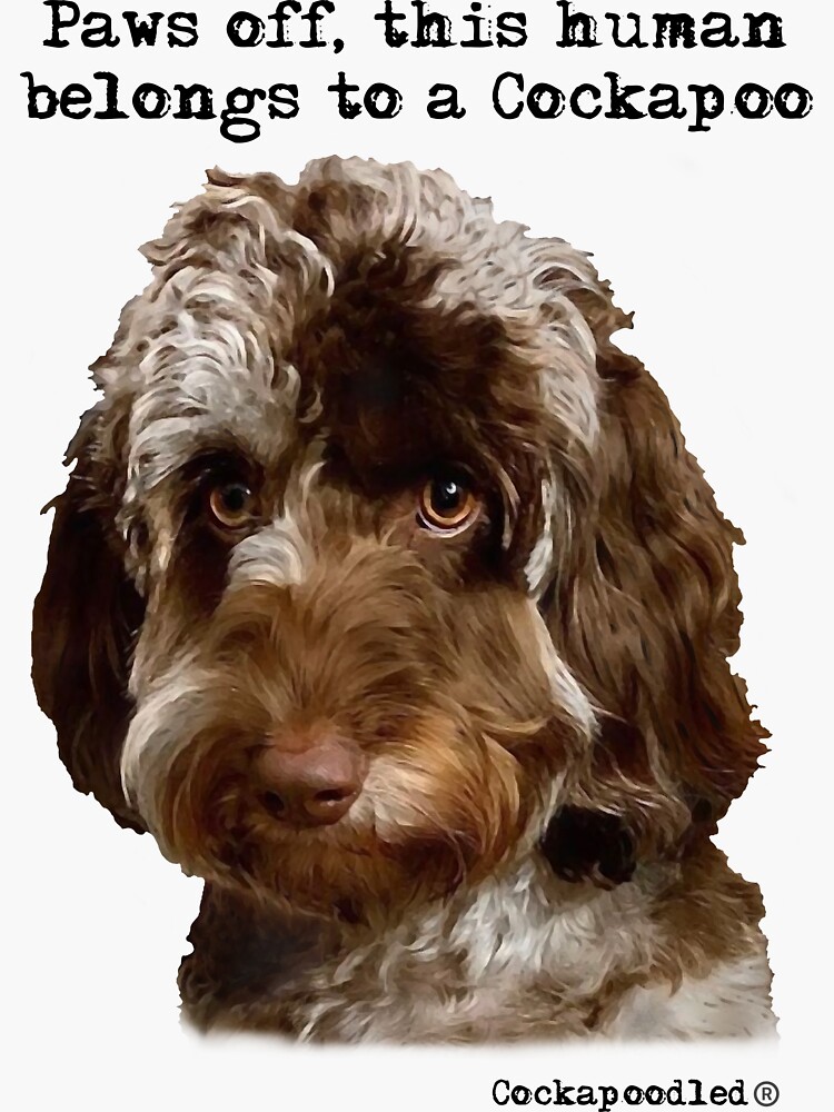 "Cockapoo Dog Humour " Sticker for Sale by cockapoodled | Redbubble