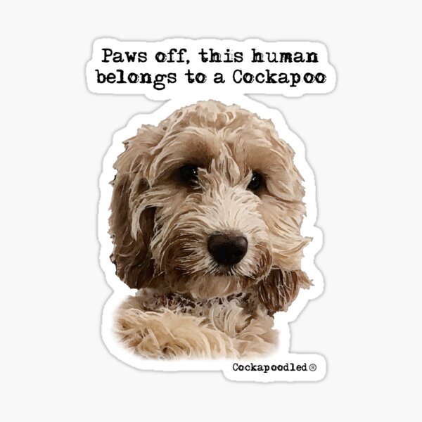 "Cockapoo Dog Humour " Sticker for Sale by cockapoodled | Redbubble