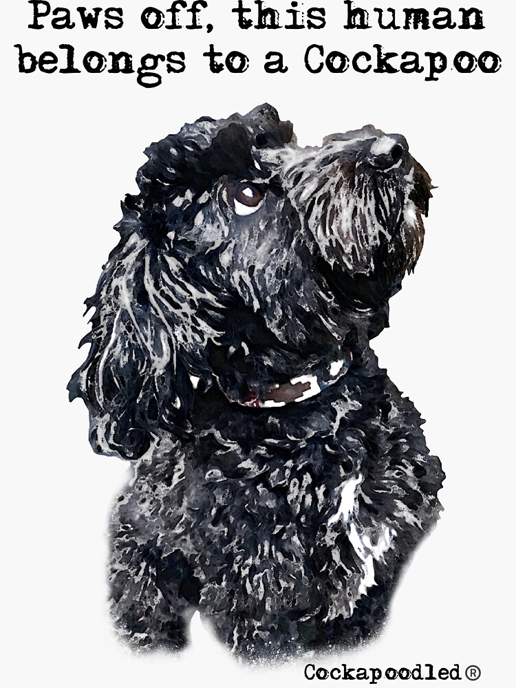 "Cockapoo Dog Humour " Sticker for Sale by cockapoodled | Redbubble