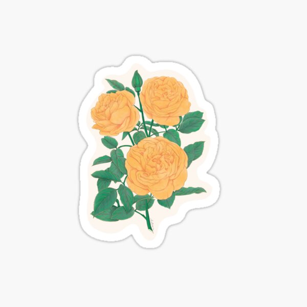 "Vintage Yellow Roses Sticker" Sticker by Olivia-brohier | Redbubble