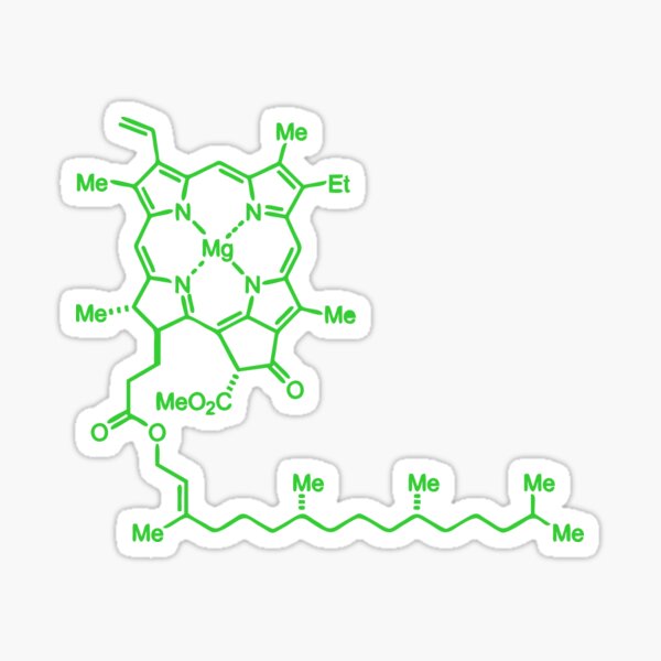 "Chlorophyll Structur - Green" Sticker for Sale by RosArt100 | Redbubble