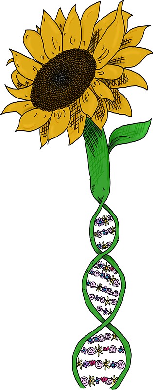 Dna: Stickers | Redbubble