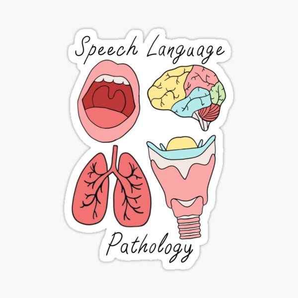 "Speech Language Pathology Anatomy " Sticker for Sale by p19baumanw ...