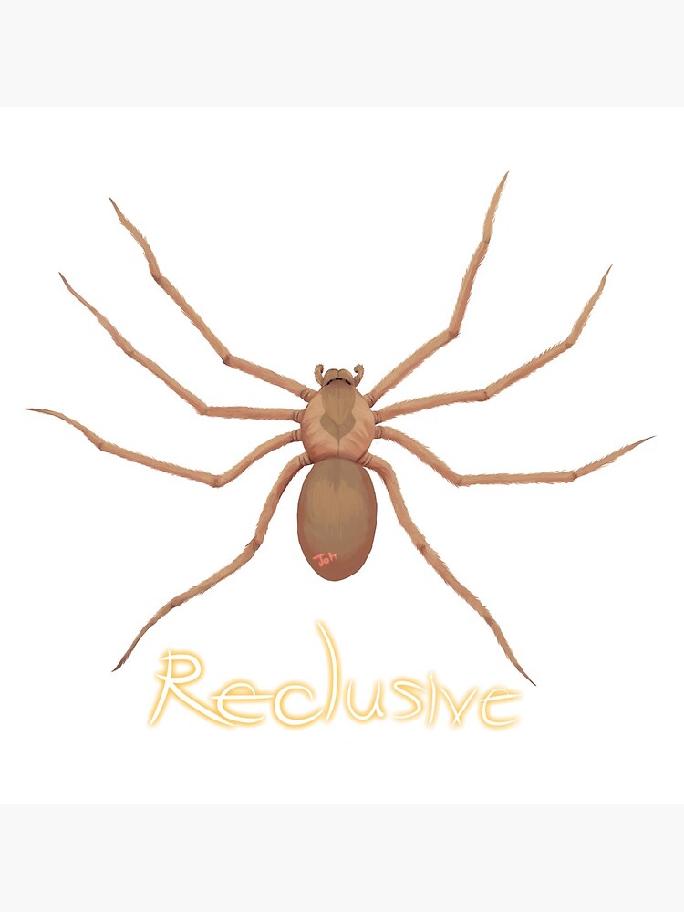 "Brown Recluse - 'RECLUSIVE' Version" Photographic Print for Sale by ...