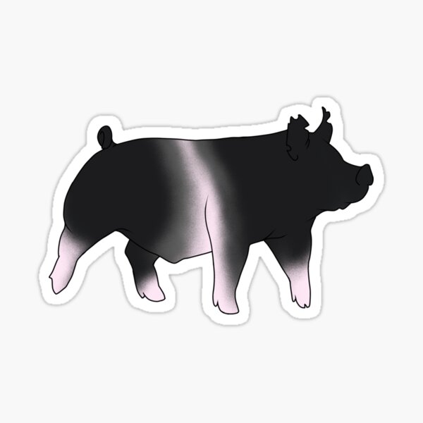 "Belted Hog Sticker" Sticker for Sale by VISHAPAT | Redbubble