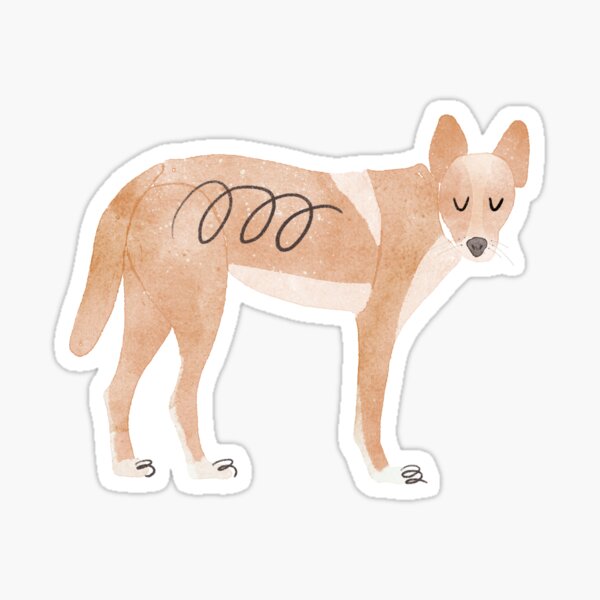 "Dingo Animal Sticker" Sticker for Sale by mymccauley | Redbubble