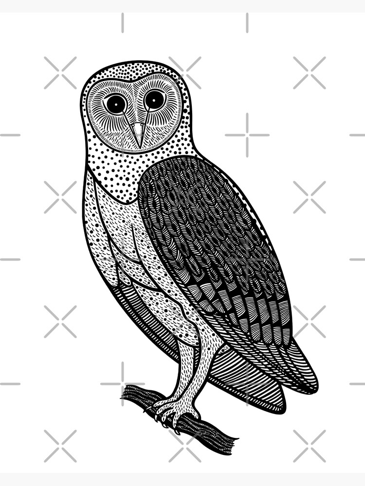 Barn Owl - detailed animal ink art (on white) Premium Matte Vertical ...