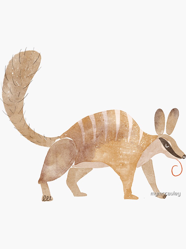 "Numbat Animal Sticker" Sticker for Sale by mymccauley | Redbubble