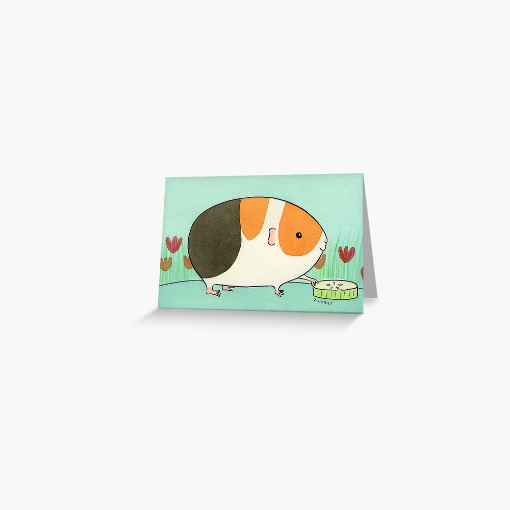 "Tri-Color Guinea-pig with a Slice of Cucumber" Greeting Card for Sale ...