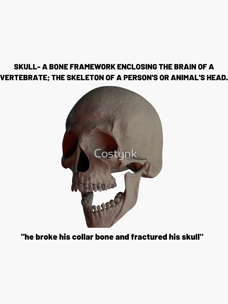 "" Skull Definition " " Sticker by Costynk | Redbubble