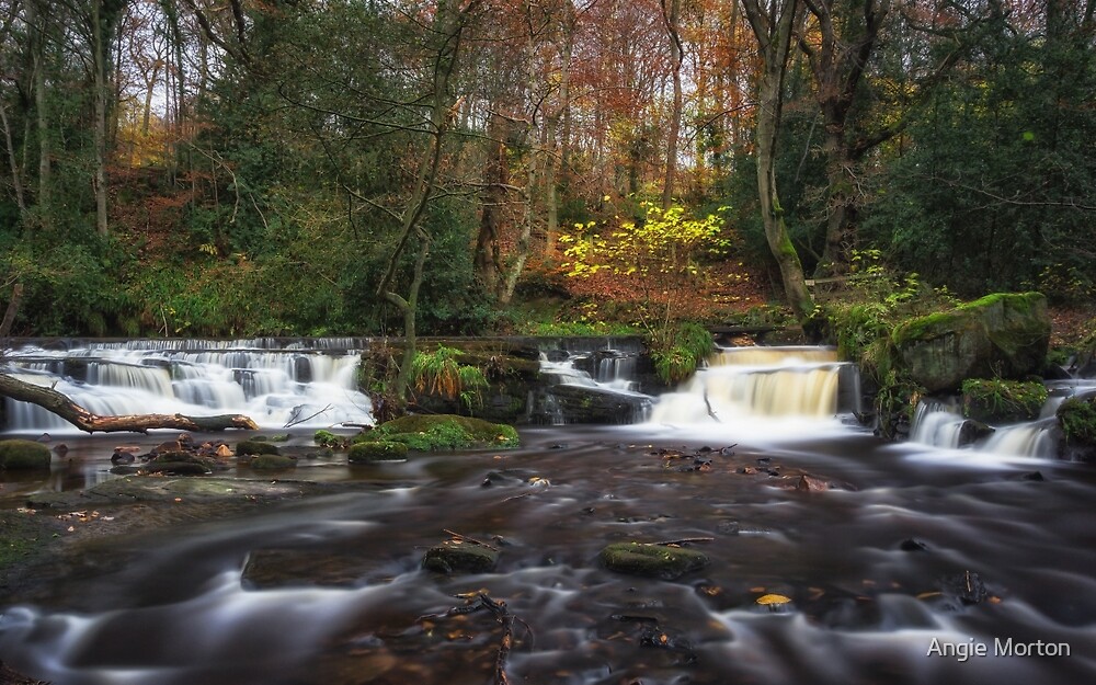 "Rivelin Falls in Autumn" by Angie Morton | Redbubble
