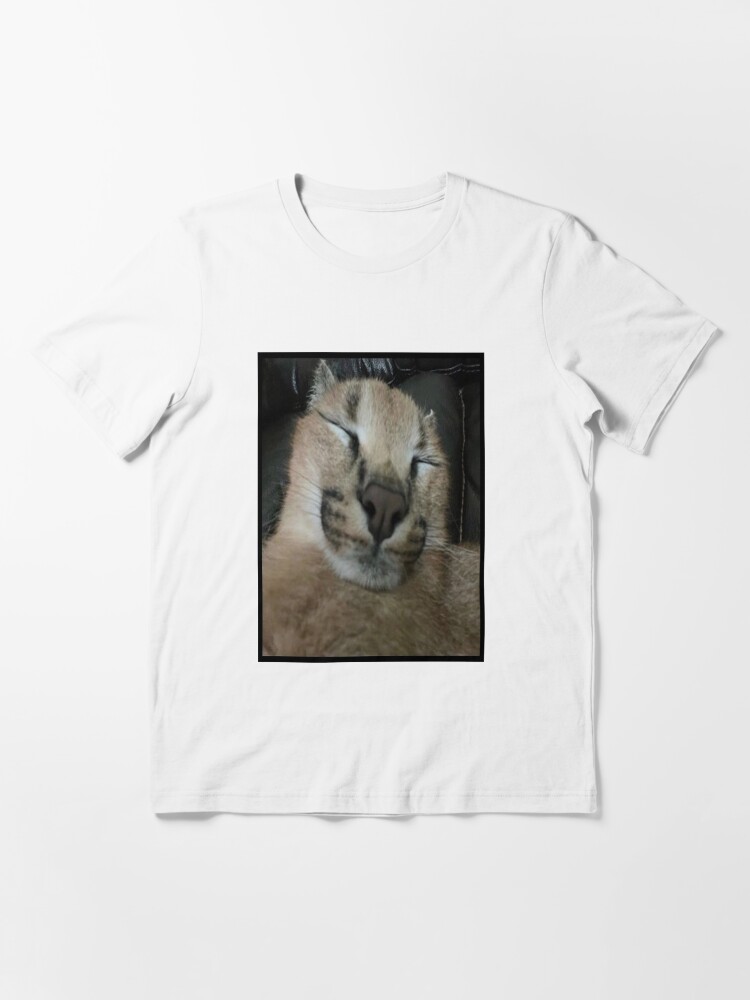 "Sleeping Big Floppa" T-shirt for Sale by ouyoussfyassine | Redbubble ...