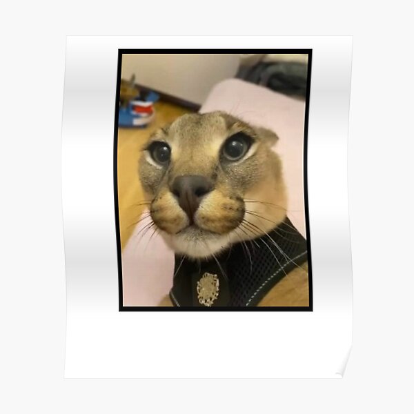 Póster «Big Floppa» de ouyoussfyassine | Redbubble