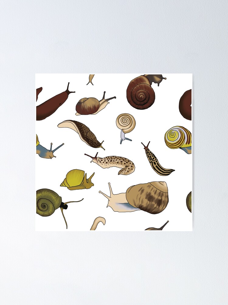 "slugs and snails" Poster by linzritt | Redbubble