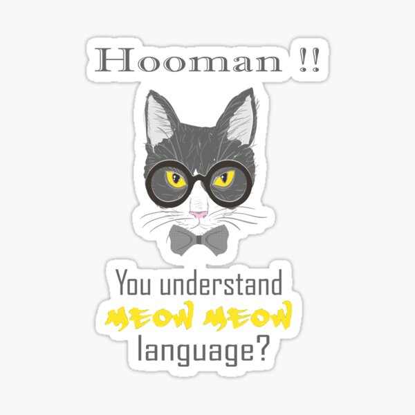"hooman do you understand meow meow language? cat lovers meow meow ...