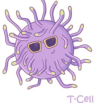 "T cell" Sticker by BiocraftLab | Redbubble