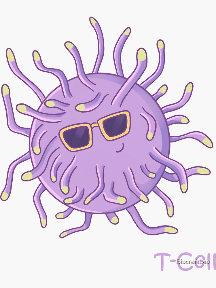 "T cell" Sticker by BiocraftLab | Redbubble
