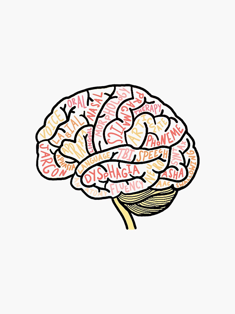 "SLP Brain" Sticker for Sale by p19baumanw | Redbubble