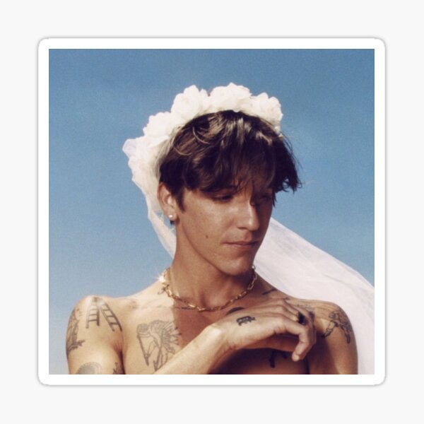 "Role Model" Sticker for Sale by sensitivekind | Redbubble