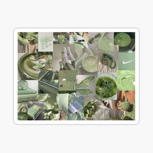 "sage green photo collage " Sticker by CuteFluffy | Redbubble